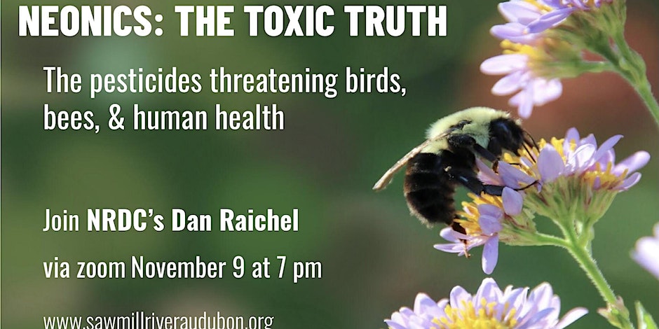 Register Programs – Saw Mill River Audubon