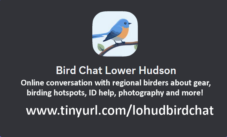 Bird Chat – Saw Mill River Audubon